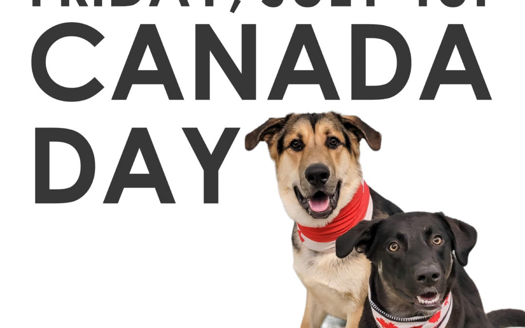 Barks and Recreation Will Be Closed Canada Day | Barks and Recreation Pet Services in Trail, BC ...